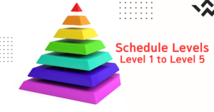 What are different levels of time schedule? With Examples | PM Pro Guide